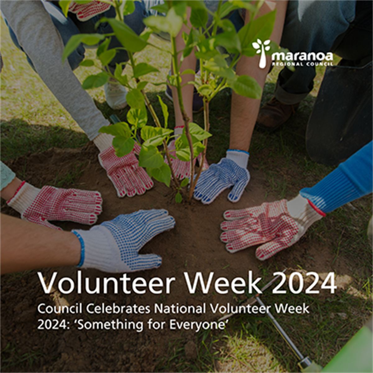 Volunteer Week 2024 | Maranoa Regional Council
