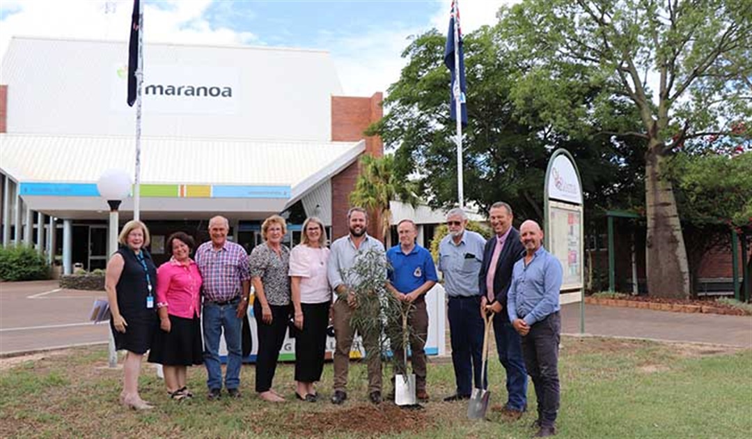 Roma To Adopt the late Queen’s Commonwealth Canopy Program | Maranoa ...